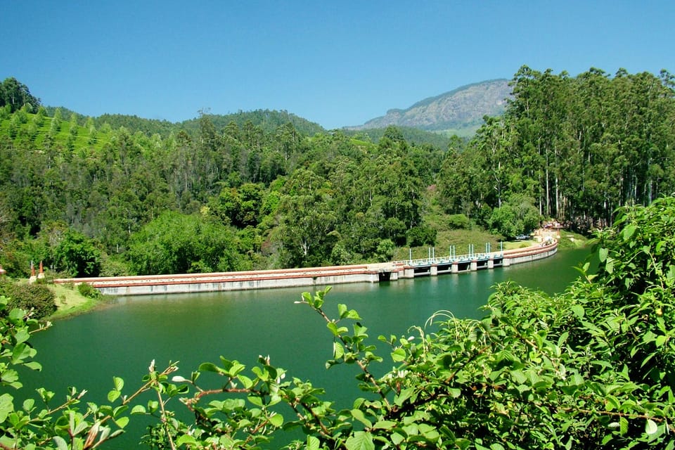 Munnar site-seeing Tour | GetYourGuide