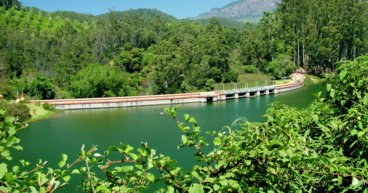 Munnar site-seeing tour | GetYourGuide