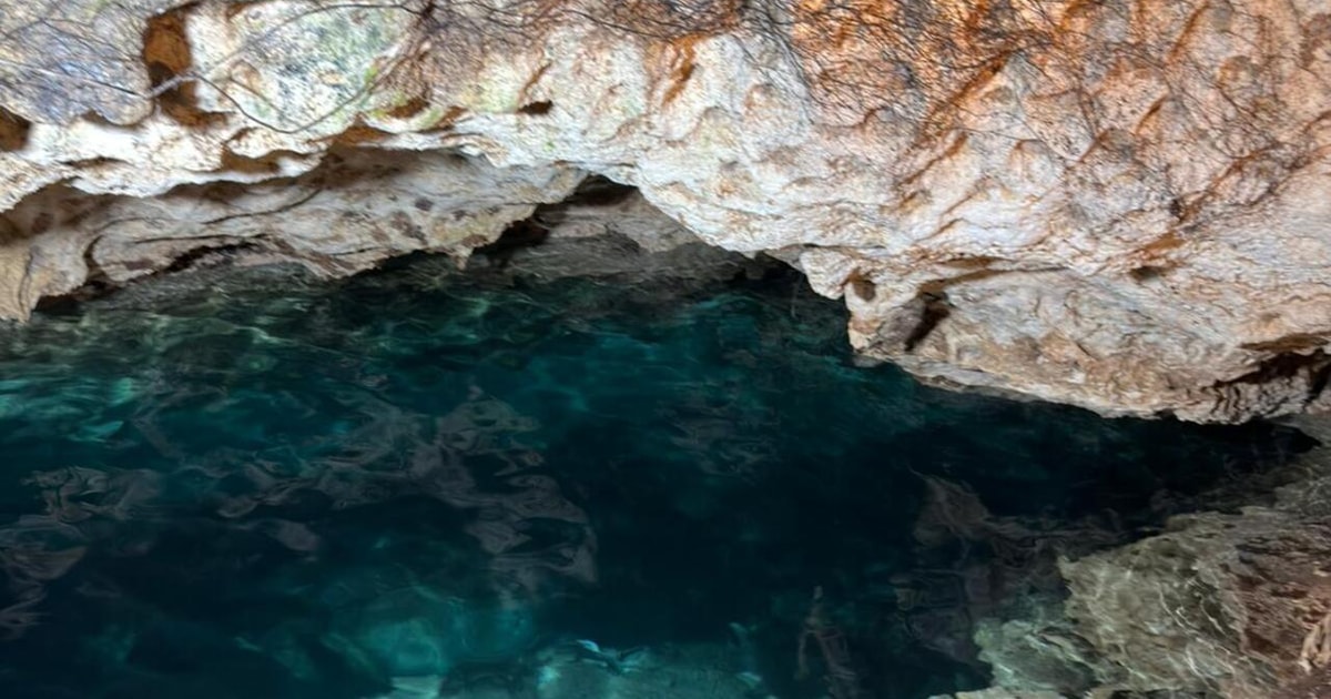 ZANZIBAR Prison Island, Secret Cave Swimming & Jozani Forest | GetYourGuide