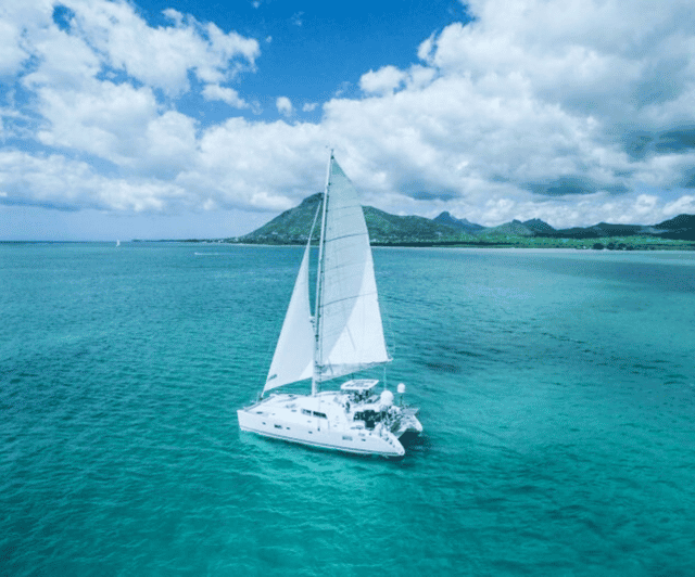 Nage avec les dauphins sur la côte ouest de l'île Maurice, rocher de ...
