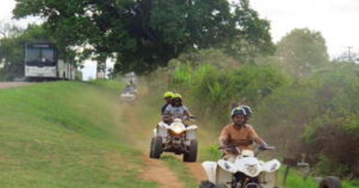 Hazyview : Safari guidé en quad dans la plantation de macadamia et dans ...