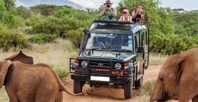 12Days Kenya & Tanzania Combo Big Five Safari on a 4x4 Jeep | GetYourGuide