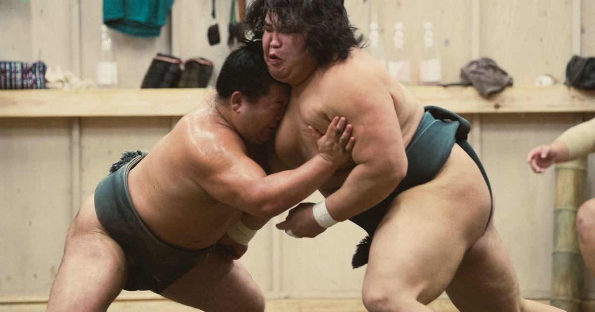 Tokyo Sumo Morning Training/ Sumo Practice with Wrestlers | GetYourGuide