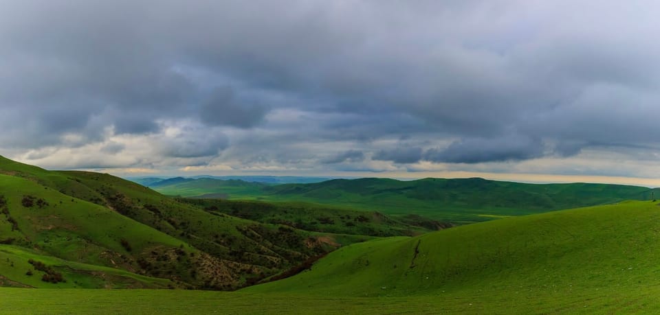 From Baku: Wine Degustation and Plantation visit in Goychay | GetYourGuide