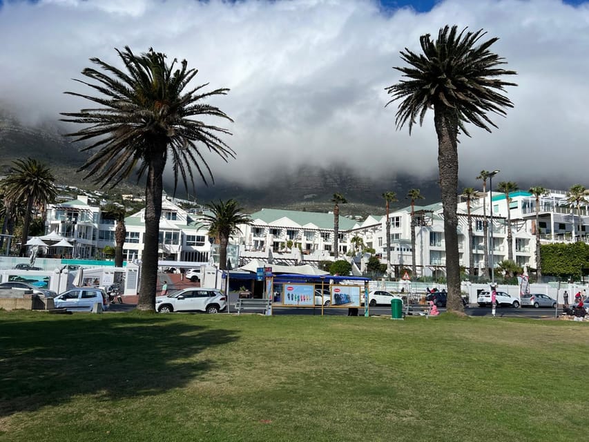 Full-Day Private Cape Town’s Most Beautiful Beaches Tour | GetYourGuide
