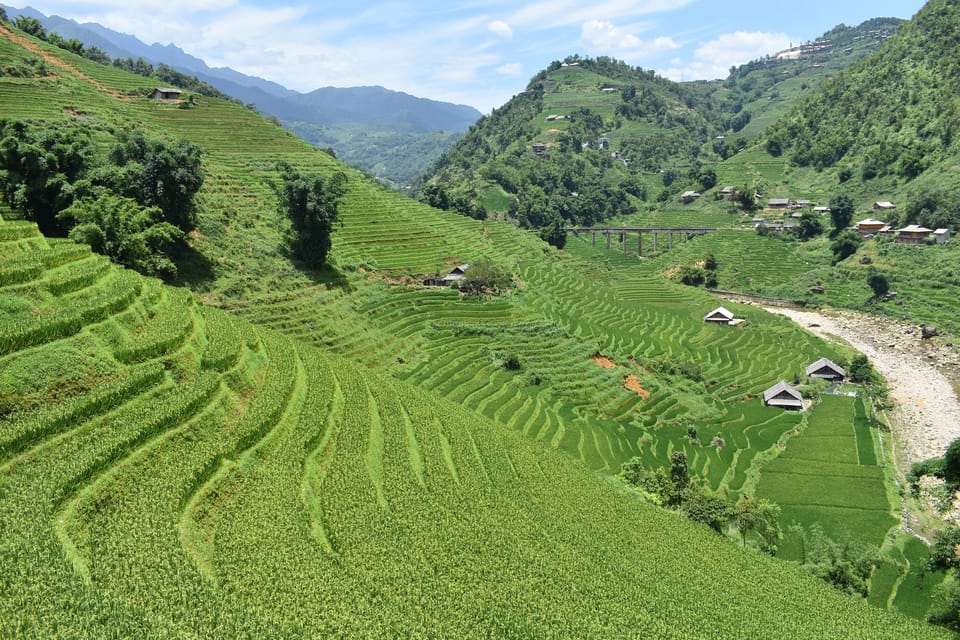 From Sapa: 1-Day Trekking through Terraces Rice Fields | GetYourGuide