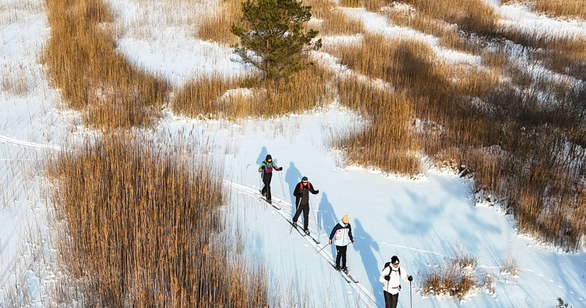 From Riga: Forest Ski Adventure with Equipment | GetYourGuide
