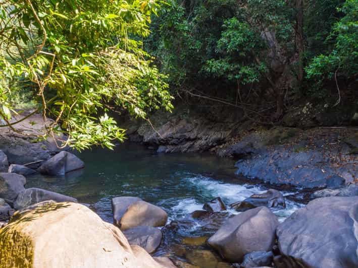 Khlong Sok: Khao Sok Waterfalls and Wildlife Half-Day Trek | GetYourGuide
