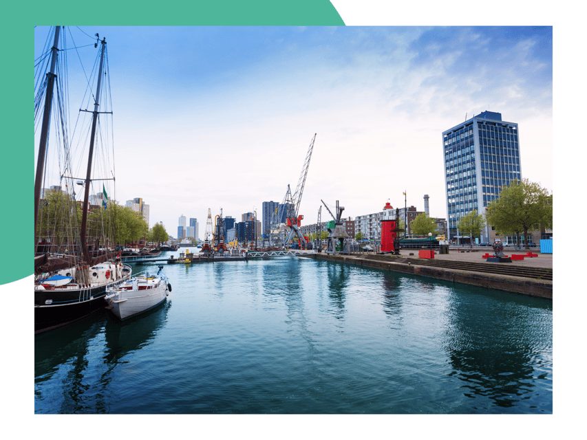 Rotterdam: Interactive Street Art Tour | GetYourGuide