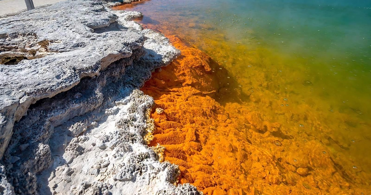 Rotorua: Wai-O-Tapu, Redwoods en Secret Spot een dagtour | GetYourGuide
