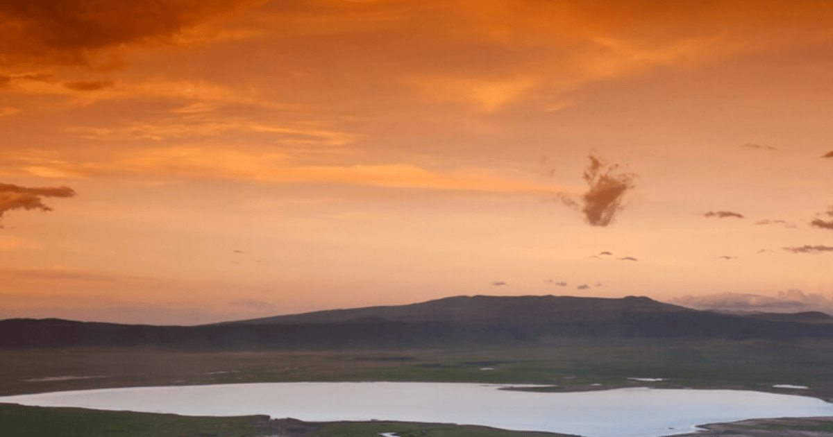 Krater Ngorongoro: wycieczka 1-dniowa z safari | GetYourGuide