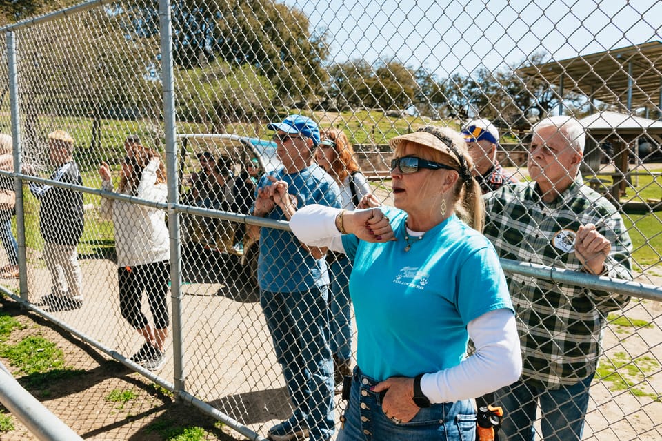 Alpina: Besök och matning i lejon-, tiger- och björnreservatet ...