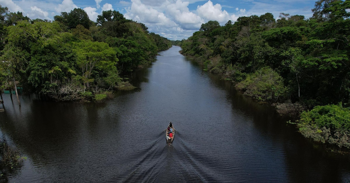 4-Day All Inclusive Pacaya Samiria Reserve from Iquitos | GetYourGuide