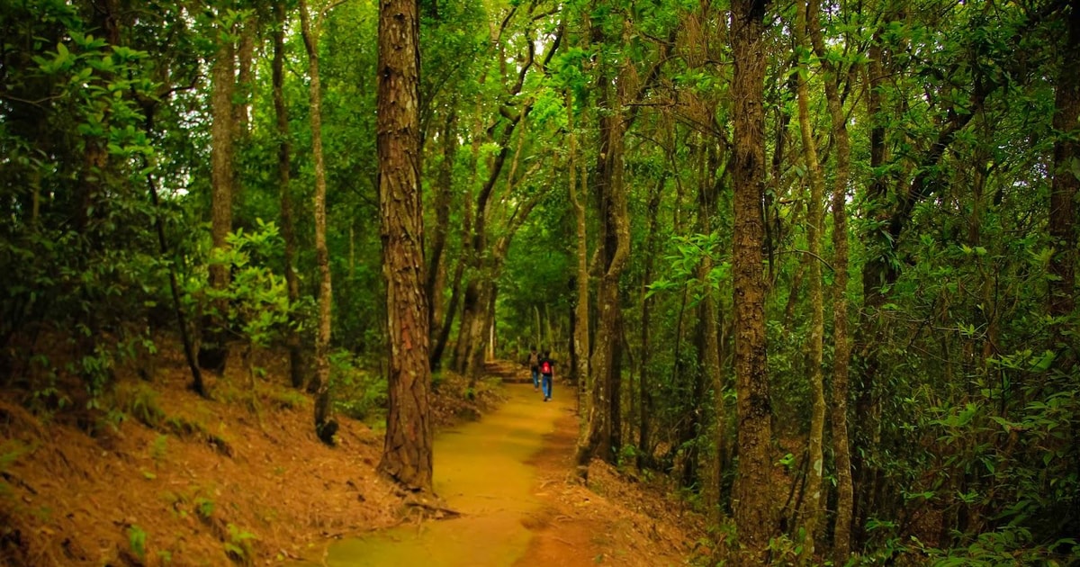 Jamacho Day Hike in Kathmandu - 1 Day | GetYourGuide