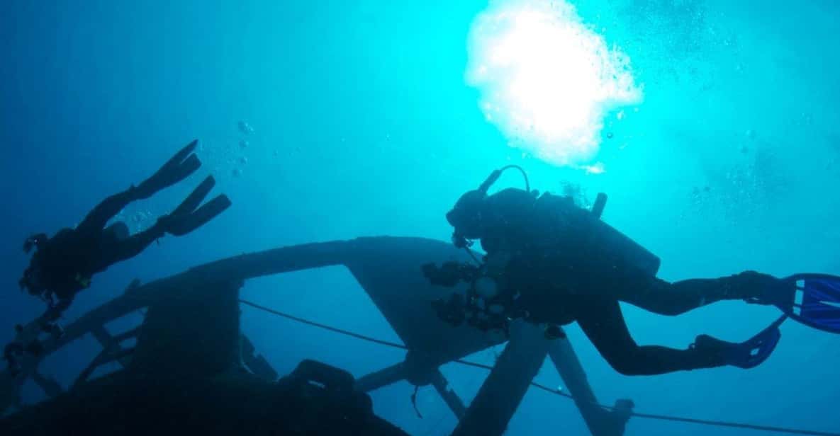 Cancun: Angelfish Discovery Package | GetYourGuide