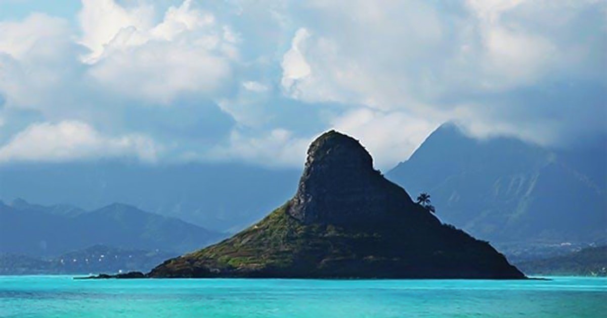 Honolulu: Oahu Island Highlights Tour with Multiple Stops | GetYourGuide