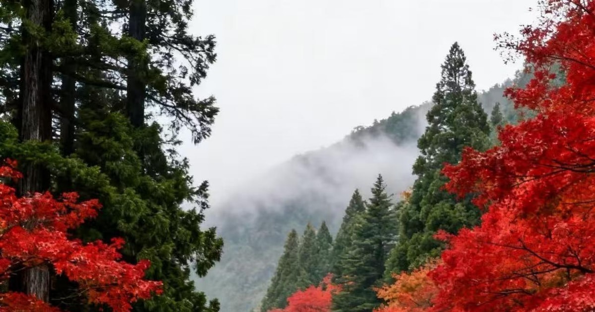 Wonderful Taiwan: A Six-Day Round-the-Island Trip | GetYourGuide