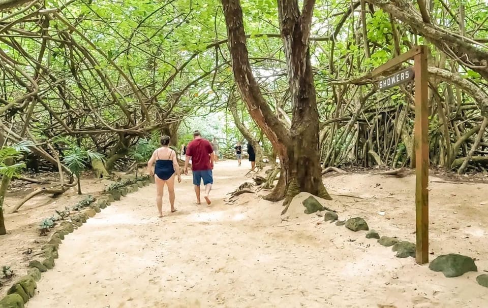 Oahu: Secret Beach Circle Island Adventure | GetYourGuide