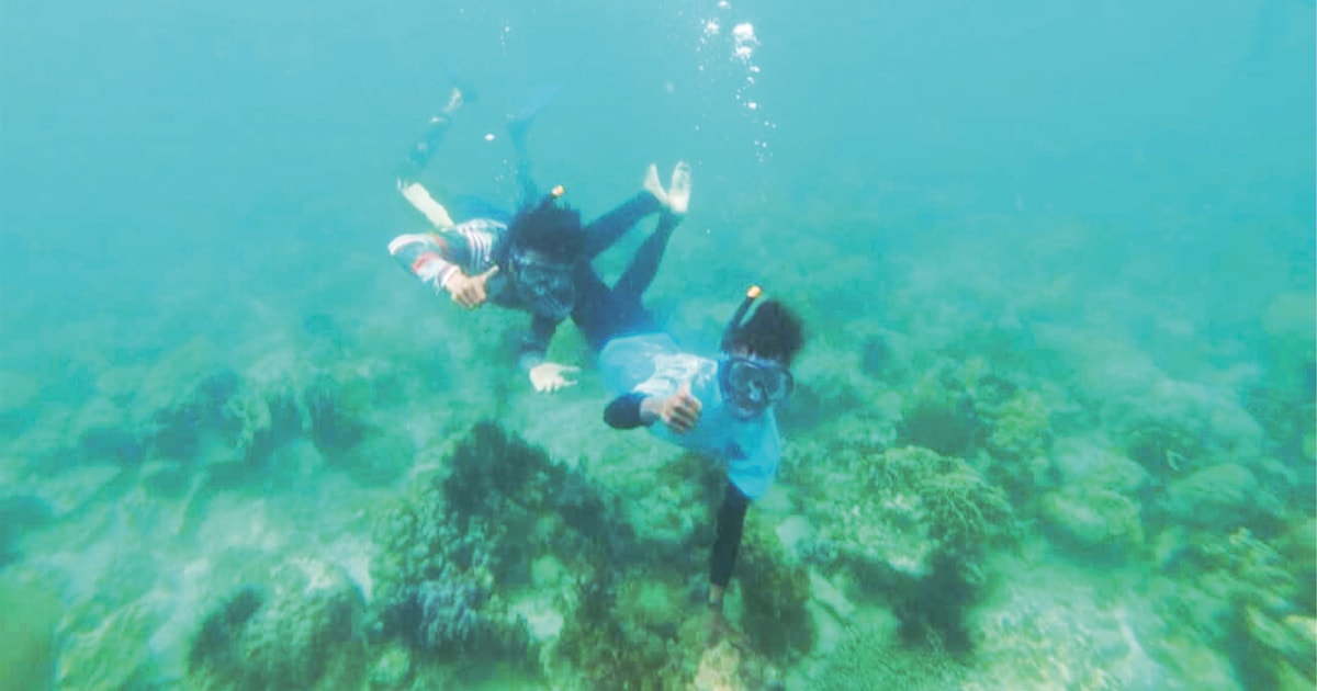 From Singapore: Private Snorkeling Day Tour to Batam Islands | GetYourGuide