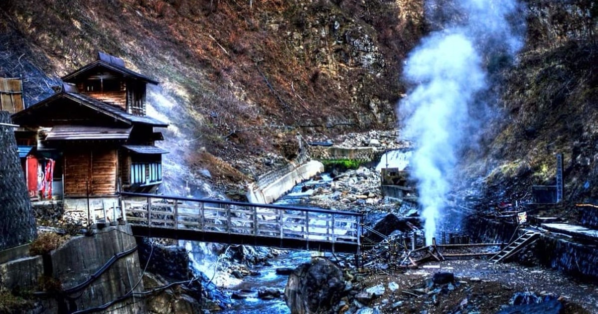 Von Tokio aus: Snow Monkey Private Ganztagestour | GetYourGuide