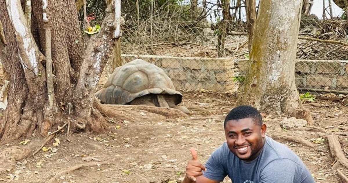 Prison Island Tour (changuu island) | GetYourGuide