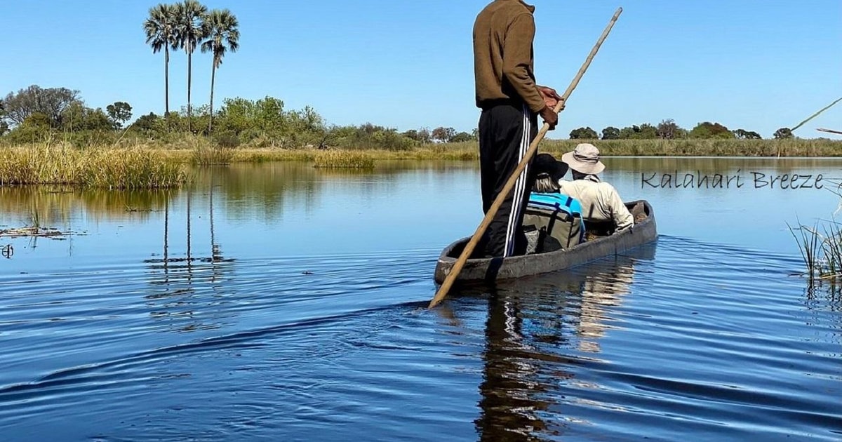 Delta del Okavango: Tour de día completo en Mokoro/Canoa Todo Incluido ...