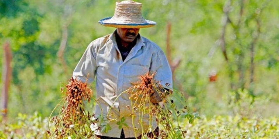 Yala: Village Life exploration Tour! | GetYourGuide