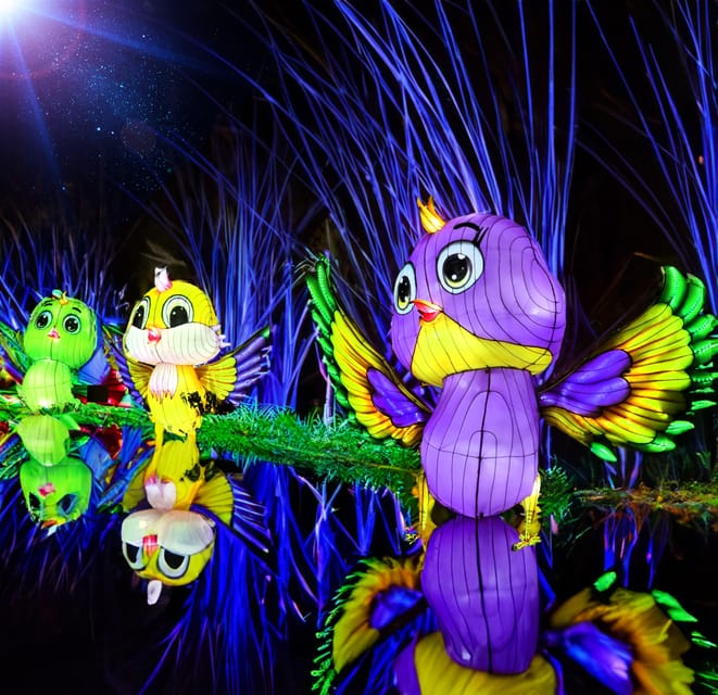 Dubai Garden Glow + Parque dos Dinossauros + ingresso para o Magic Park ...