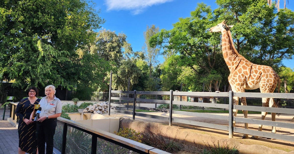 Adelaide Zoo Entry Ticket | GetYourGuide
