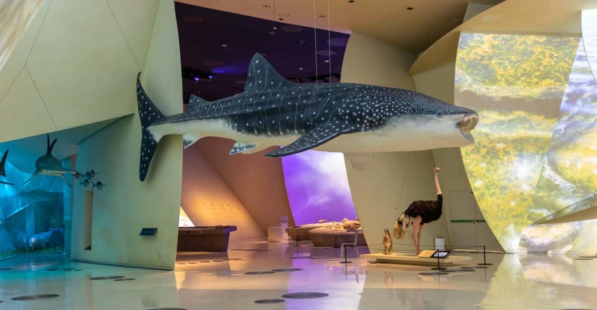 National Museum of Qatar: Admission Ticket | GetYourGuide