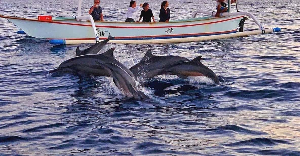 Soukromá prohlídka Loviny s delfíny a severního Bali all inclusive ...