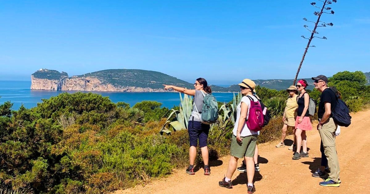 Alghero: senderismo en el parque de Porto Conte con aperitivo ...