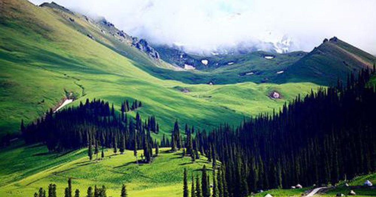 Eintägige Tour zum Nalati Tourist Scenic Spot in Ili, Xinjiang ...