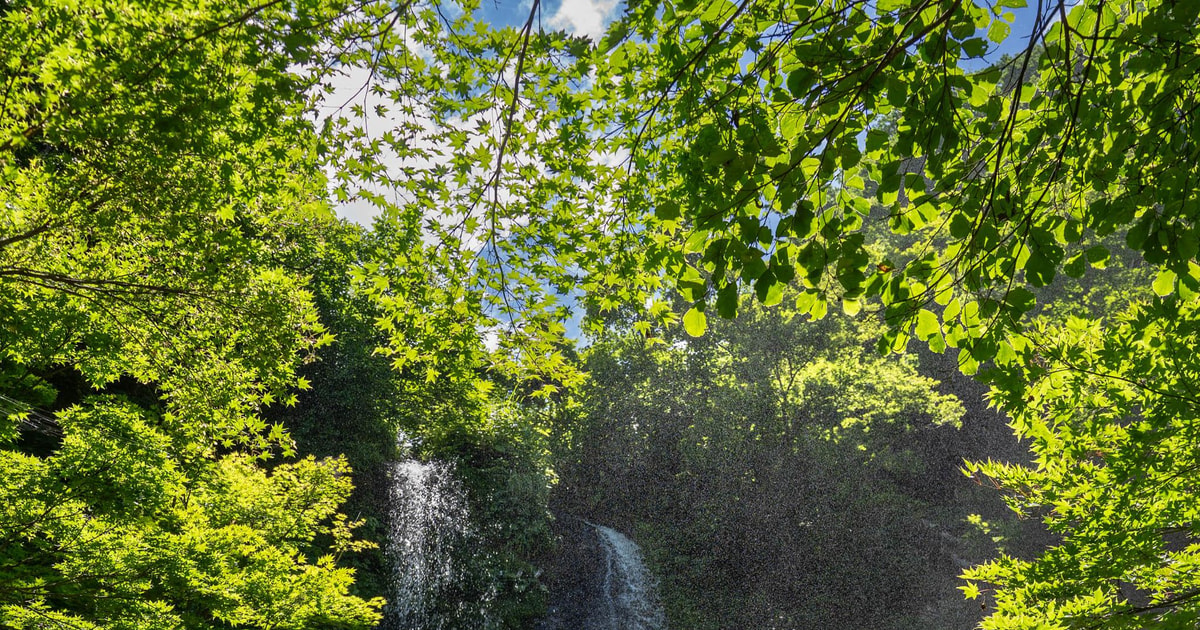 Half Day Hike to Fudo Waterfall | GetYourGuide
