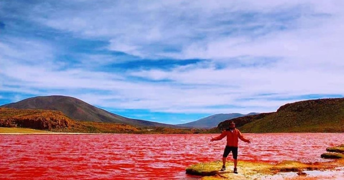 Iquique: Tour Laguna Roja | GetYourGuide