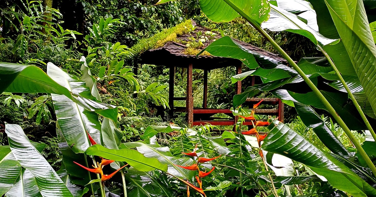 Discover Martinique: The Northern Caribbean | GetYourGuide