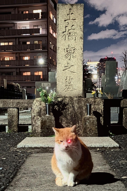 Tokyo: True Crime And Ghost Stories Tour | GetYourGuide