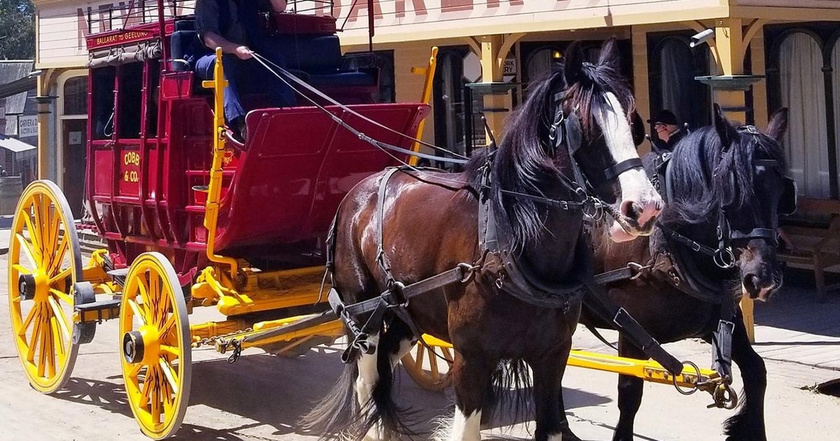 Melbourne: Sovereign Hill and Lake Ballarat Day Trip | GetYourGuide