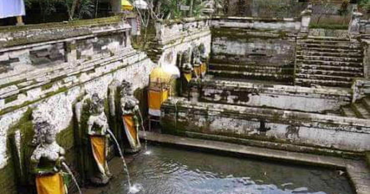 Bali : Best of Ubud Trip all inclusive | GetYourGuide