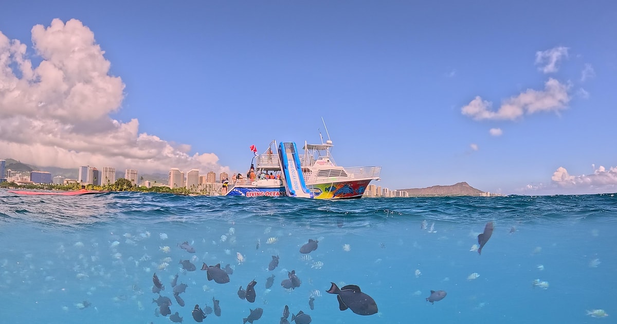 Роскошный круиз по Вайкики с маской и трубкой и дикой природой ...