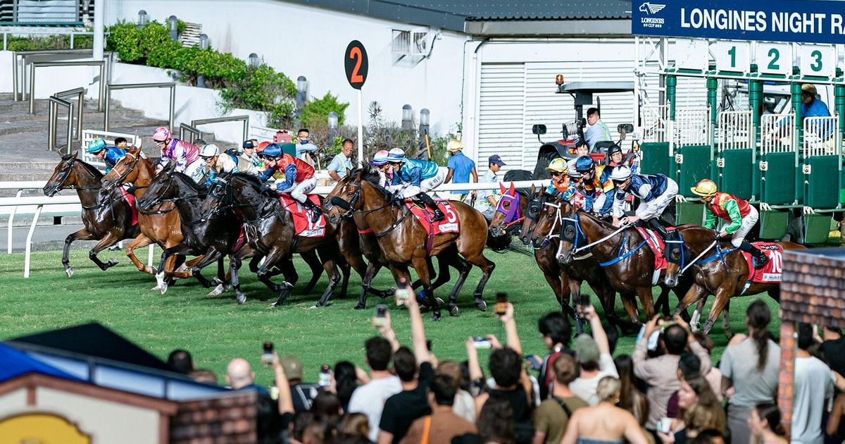 Hong Kong Jockey Club Racecourse Guided Tour with F&B | GetYourGuide