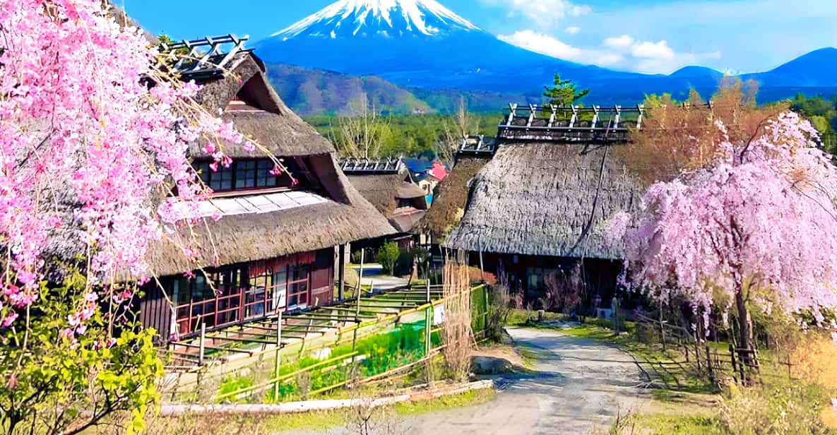Mount Fuji Panoramic View Full Day Tour From Tokyo | GetYourGuide