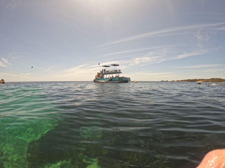 Rockingham: 3 Island Wildlife Snorkeling Cruise with Lunch | GetYourGuide