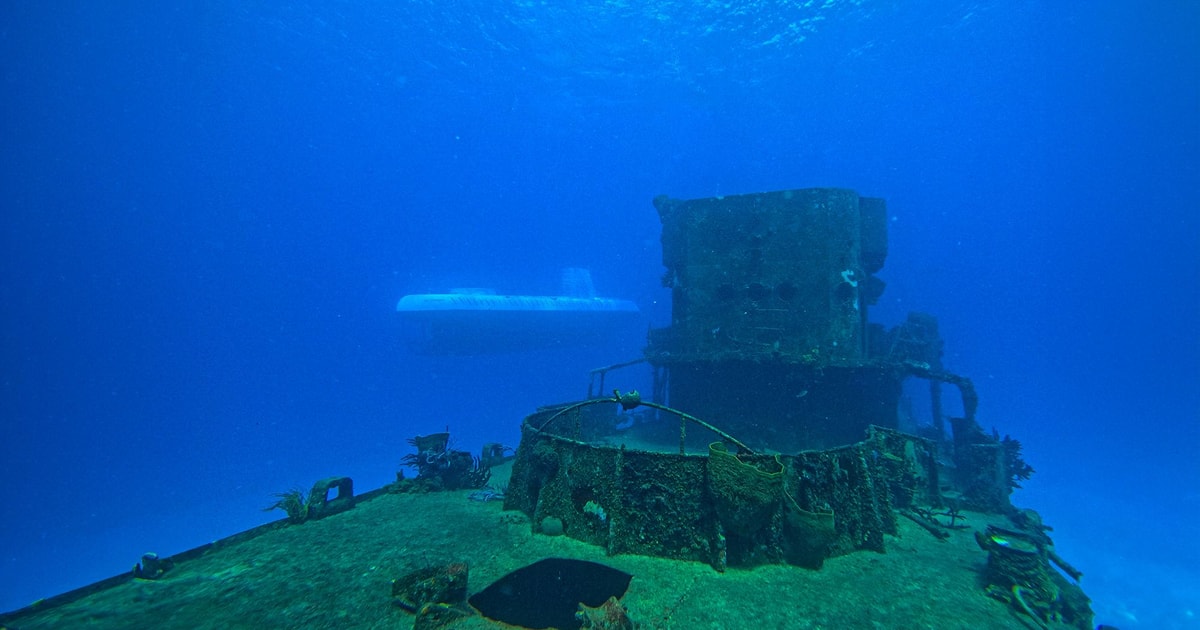 Cozumel: Atlantis Submarine Adventure | GetYourGuide