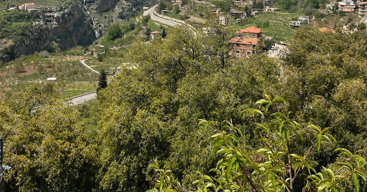Beyond Beirut: Bcharre, Cedars & Qozhaya | GetYourGuide