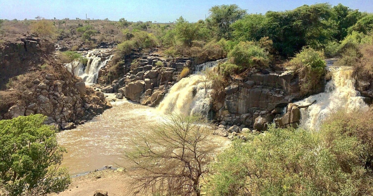 Awash National Park – Safari & Waterfall Views | GetYourGuide