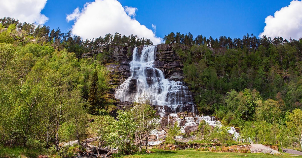 Bergen: Excursión Safari a las Cascadas del Hardangerfjord | GetYourGuide