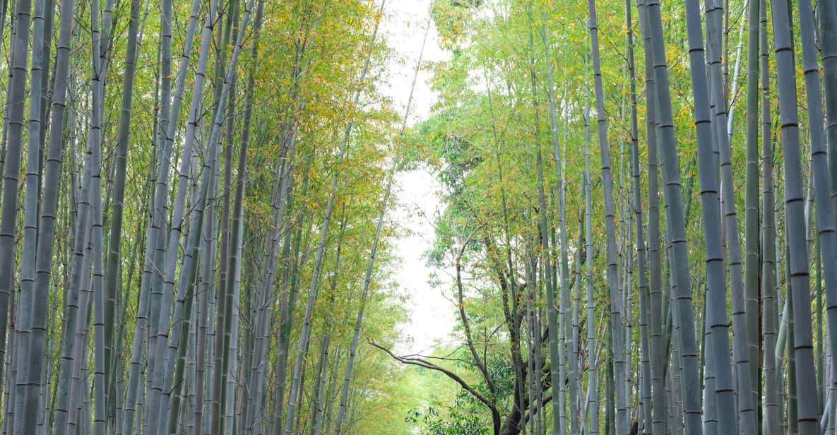 Osaka:Kjóto a Nara - památky světového dědictví UNESCO s průvodcem ...