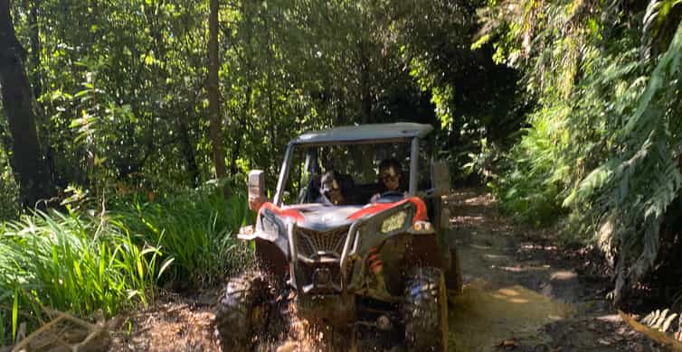 OFF-ROAD BUGGY DRIVING EXPERIENCE | GetYourGuide