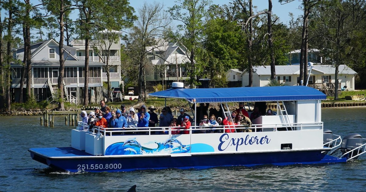 Orange Beach: Delfin-Beobachtungstour mit dem Öko-Boot | GetYourGuide